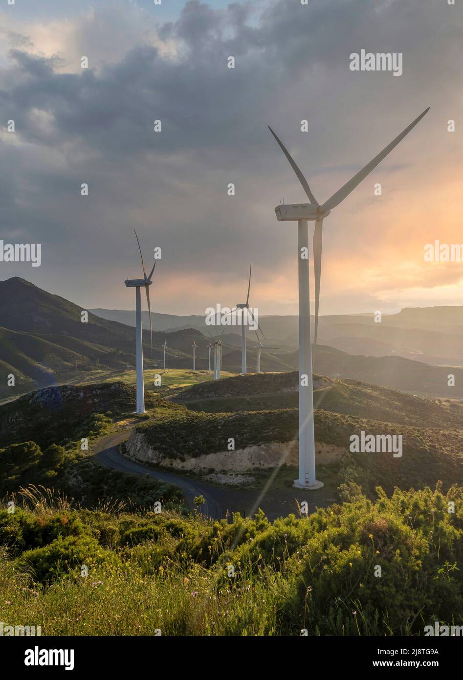 Beautiful wind turbine in the countryside in the time of sunset ...