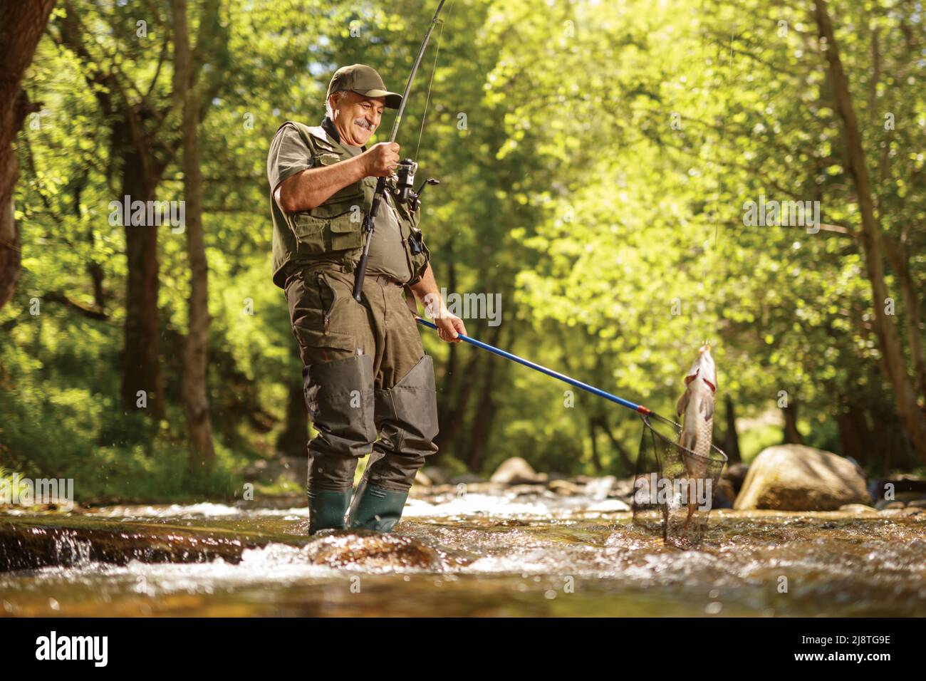Mature fisherman catching a fish with a fishing pole and a net in a ...