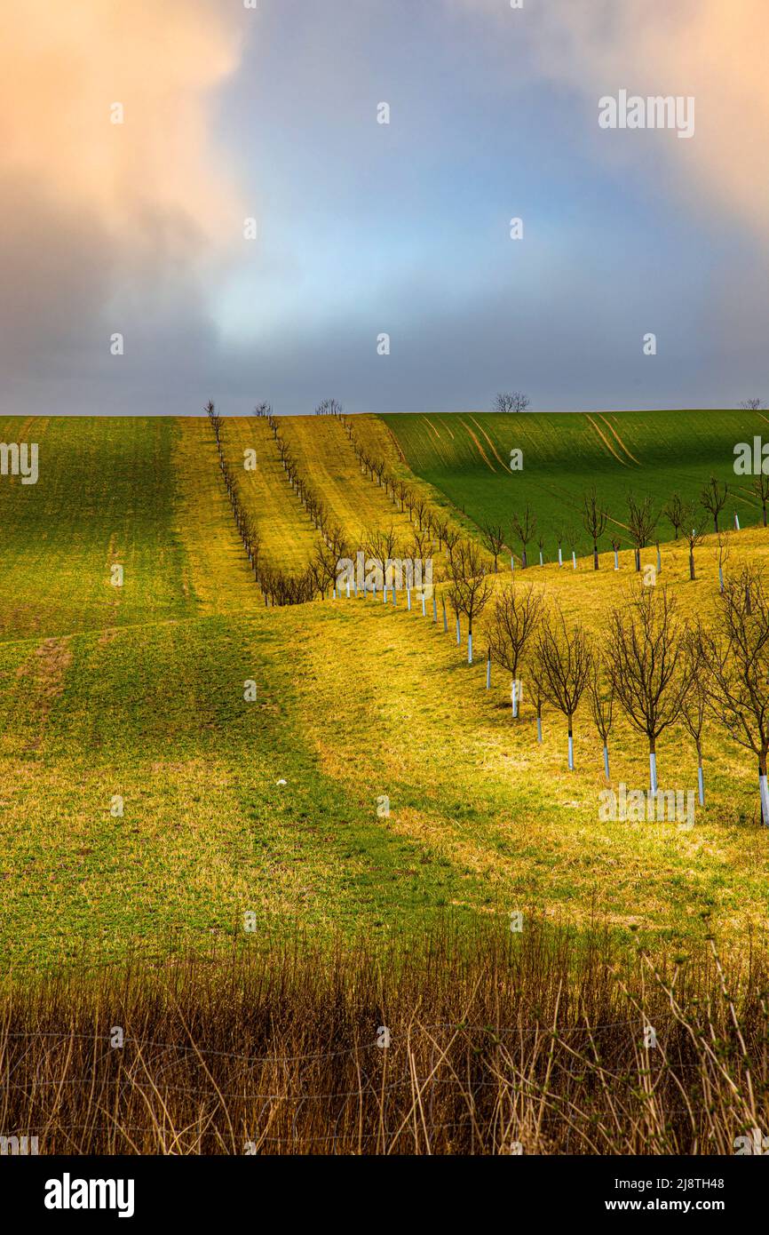 Undulating grain hi-res stock photography and images - Alamy