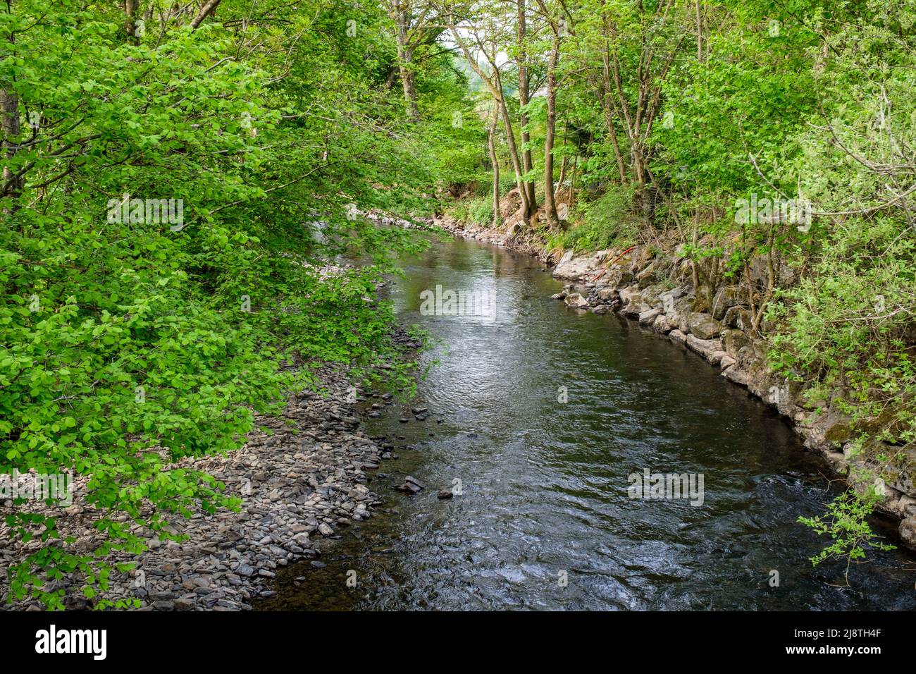 Riviere sous bois hi-res stock photography and images - Alamy