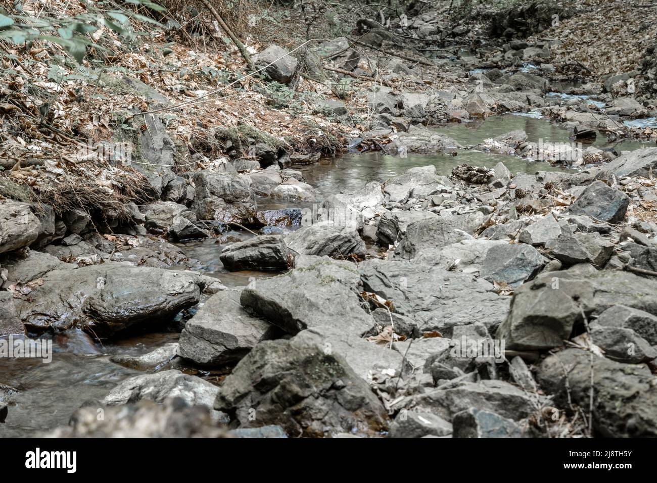 Riviere sous bois hi-res stock photography and images - Alamy