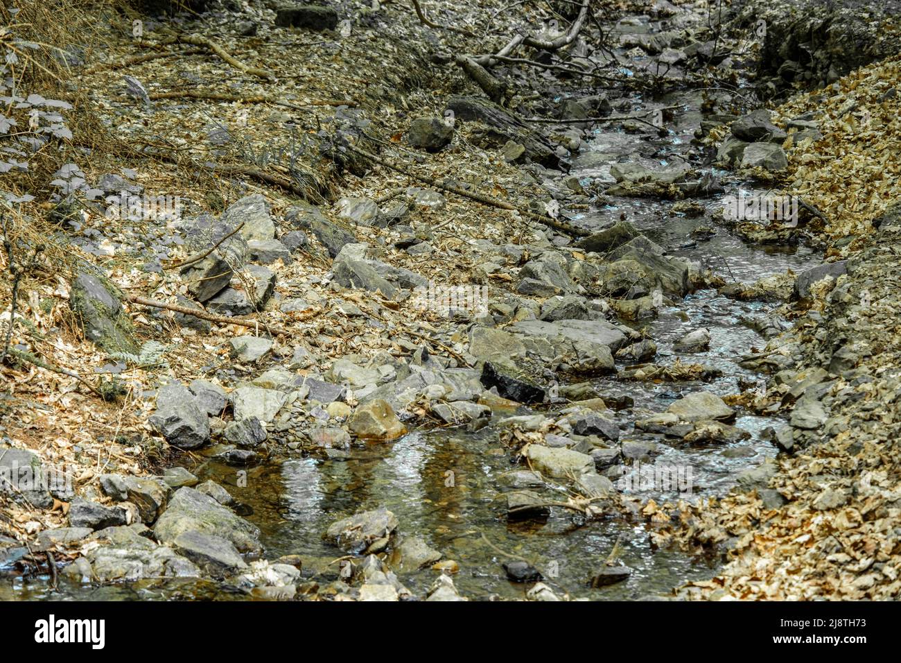 Riviere sous bois hi-res stock photography and images - Alamy