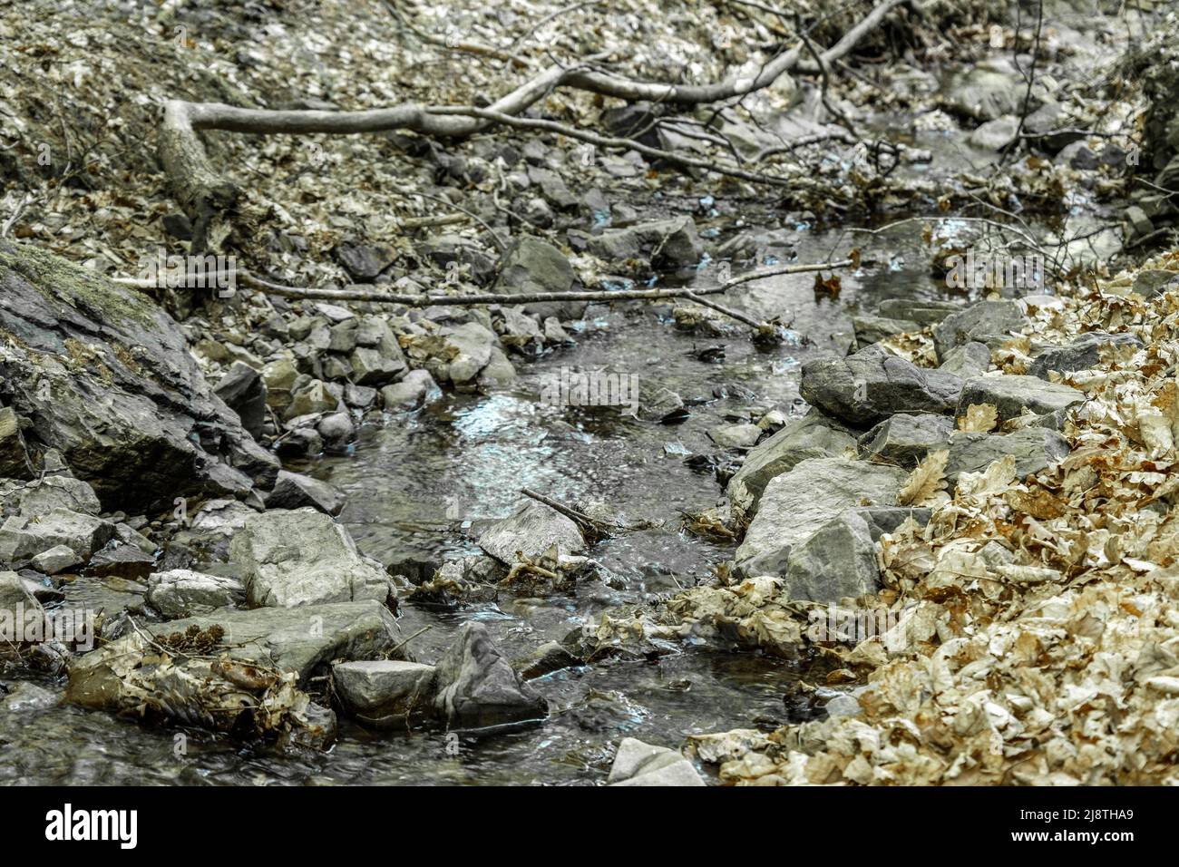 Small river flowing in an undergrowth | La riviere Houille s'ecoule ...