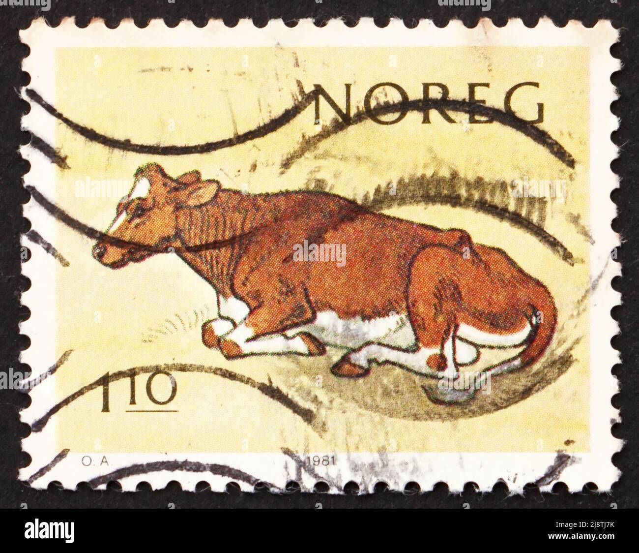 NORWAY - CIRCA 1981: a stamp printed in the Norway shows Cow, Centenary ...