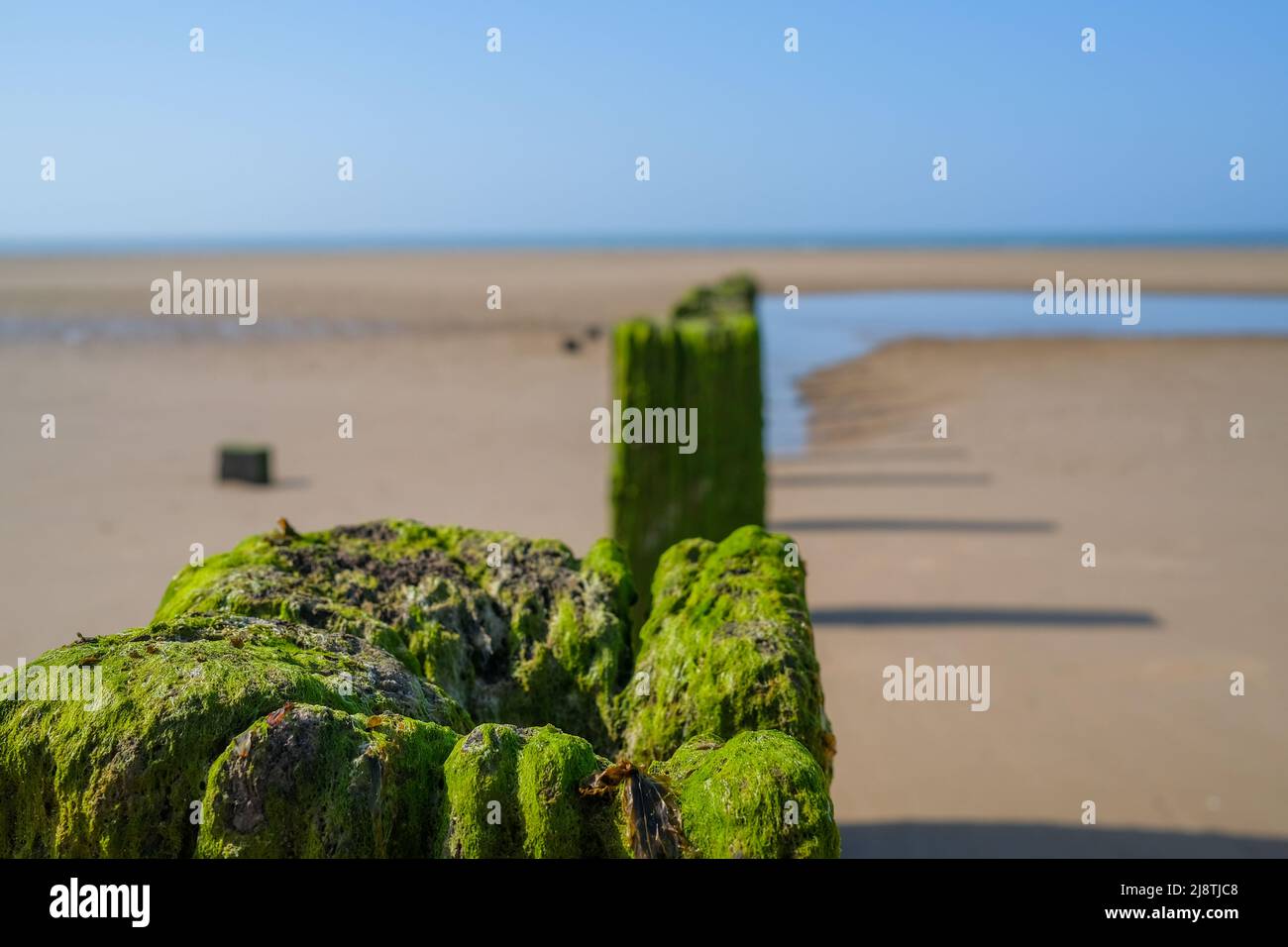 closeup wooden sea defense groynes on the beach north wales Stock Photo ...