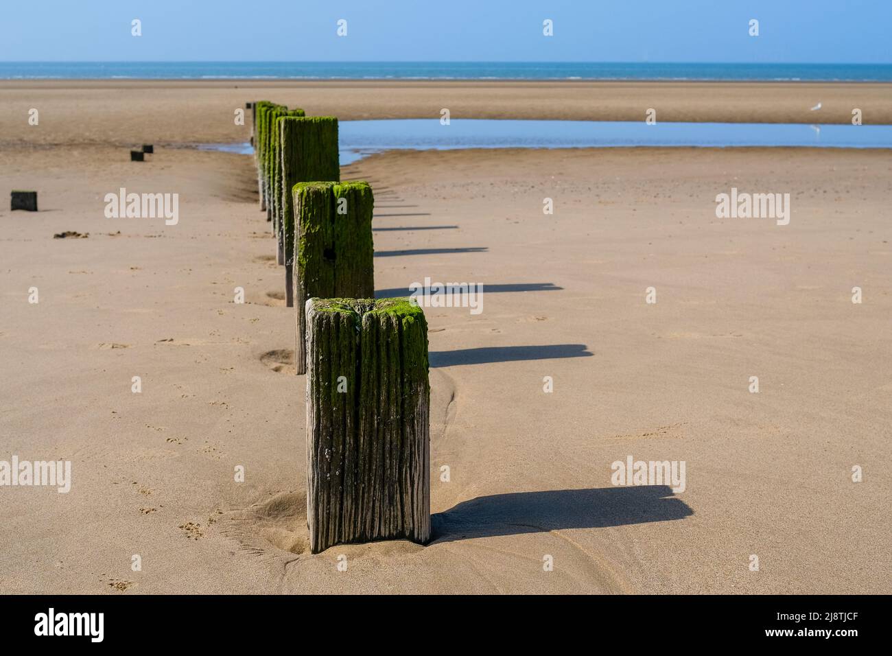 wooden sea defense groynes buried in the sand on the beach Stock Photo ...