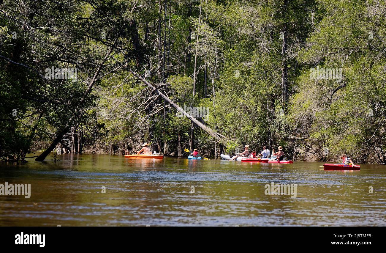 family kayaking, 4 adults, 3 children, Blackwater River State Park ...