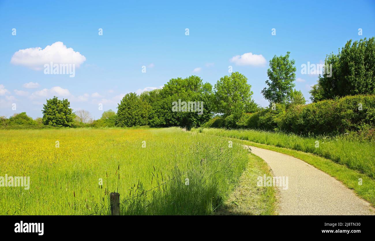 Maasheggen hi-res stock photography and images - Alamy