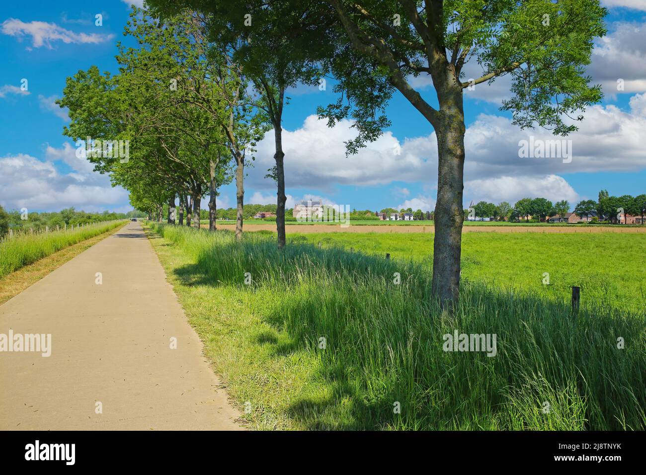 Beautiful idyllic dutch countryside rural landscape, cycle path, green ...