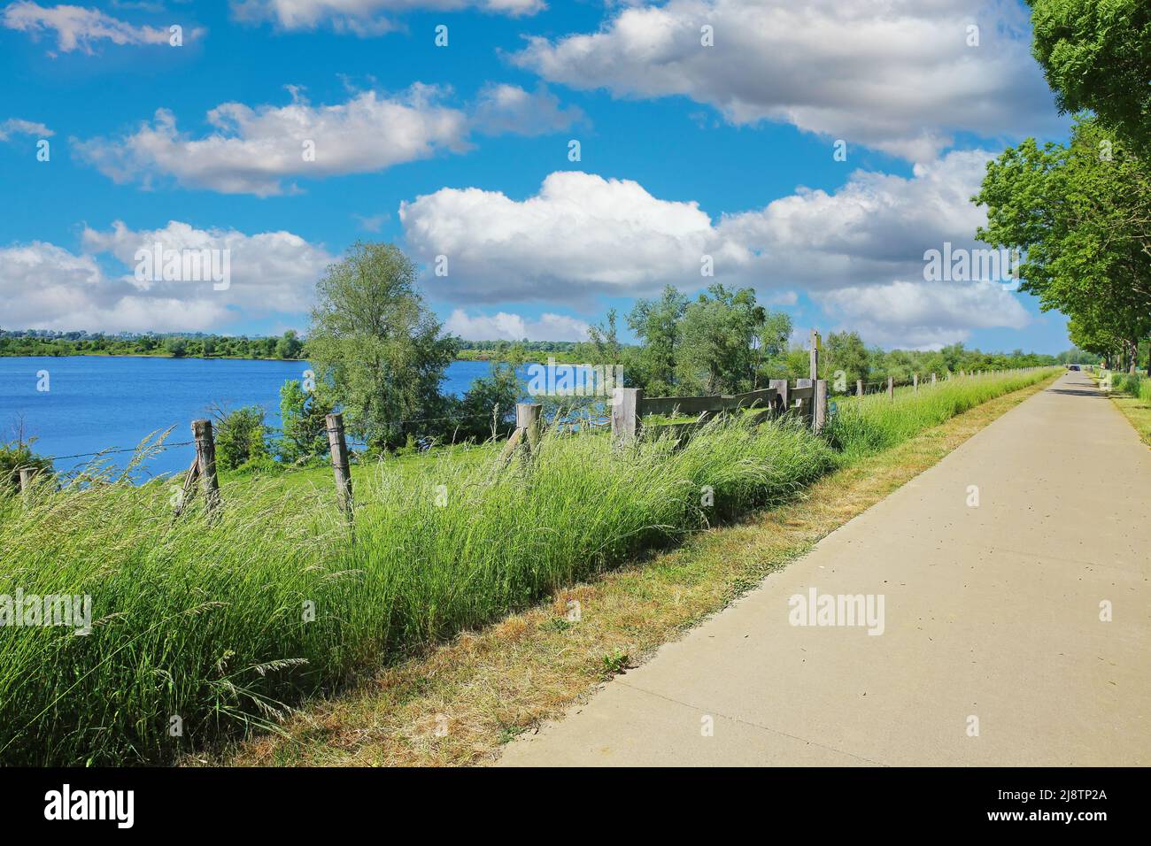 Beautiful scenic rural dutch landscape , river Maas lake, cycle track ...
