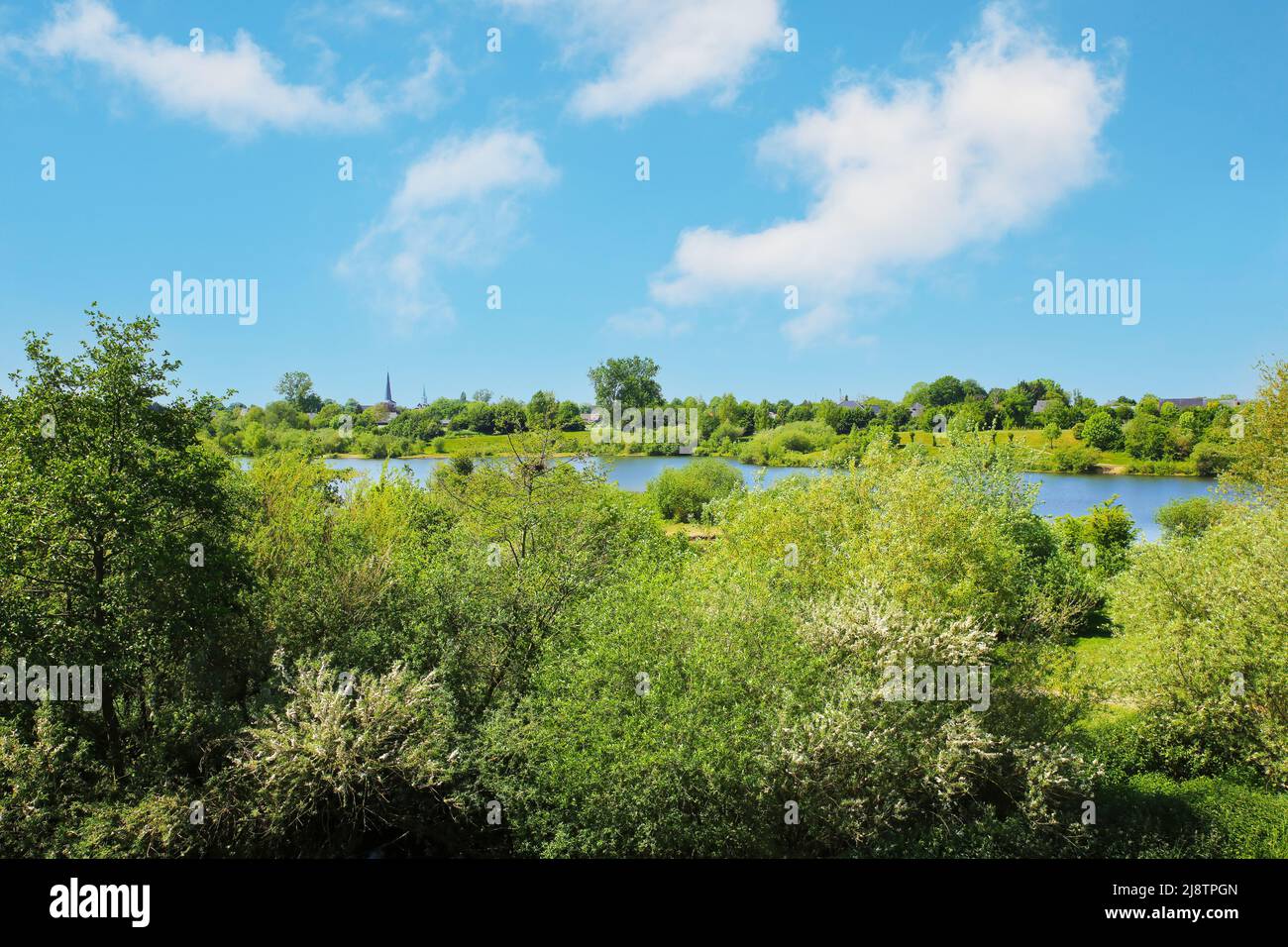 Beautiful countryside rural belgian landscape, green meadow and trees ...