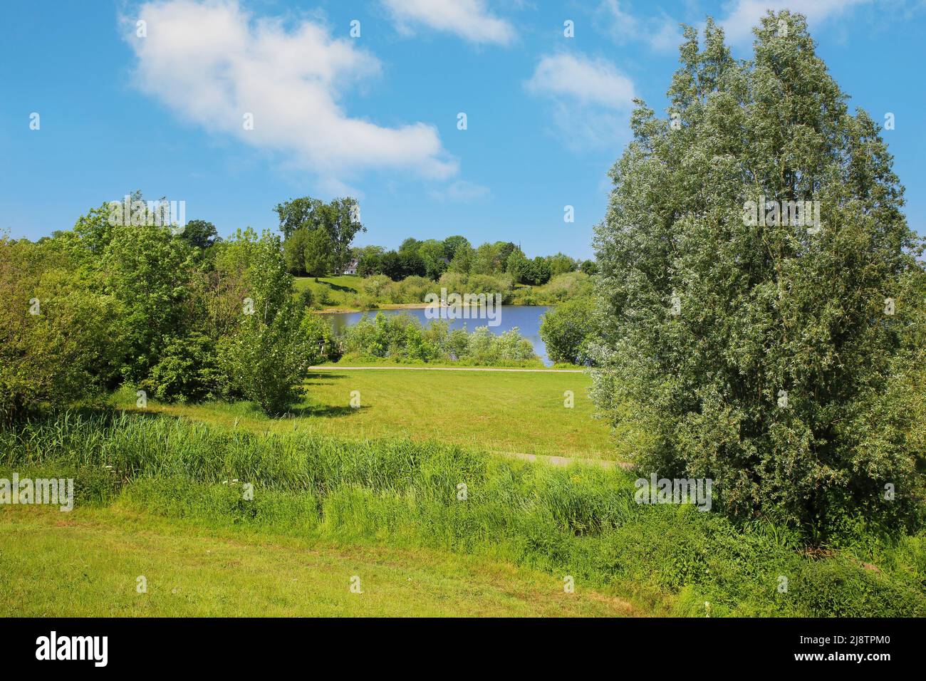 Beautiful countryside rural belgian landscape, green meadow and trees ...