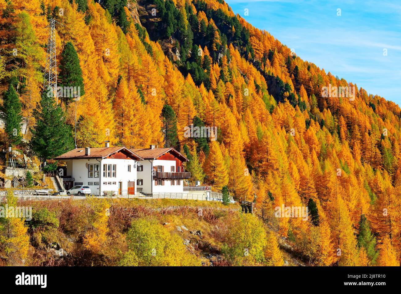 Scenic Alps landscape with autumn golden forest and hotel houses at ...