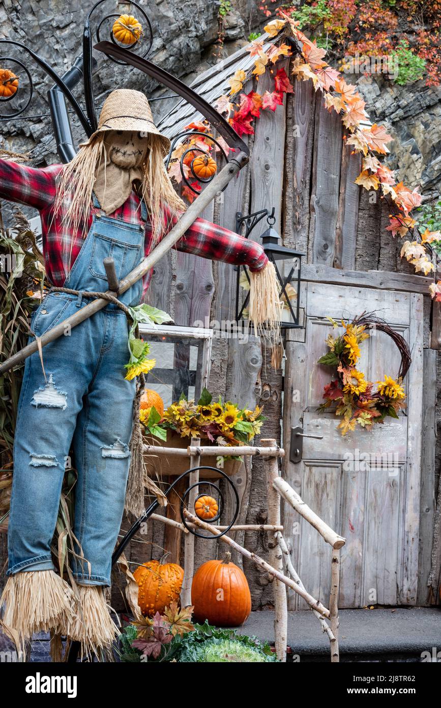 Scarecrow in traditional autumn setting Stock Photo - Alamy