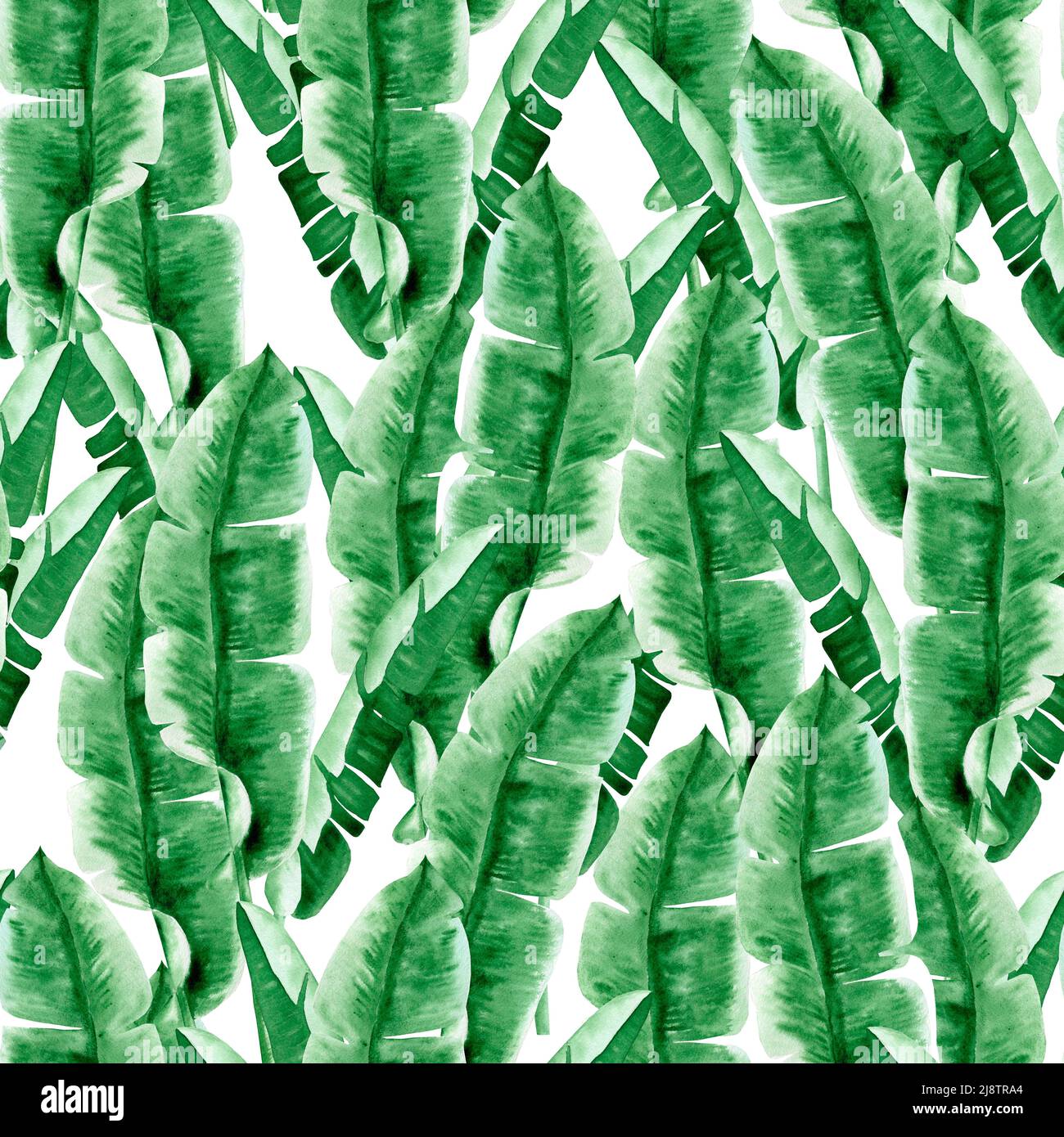 Banana Leaf Pattern