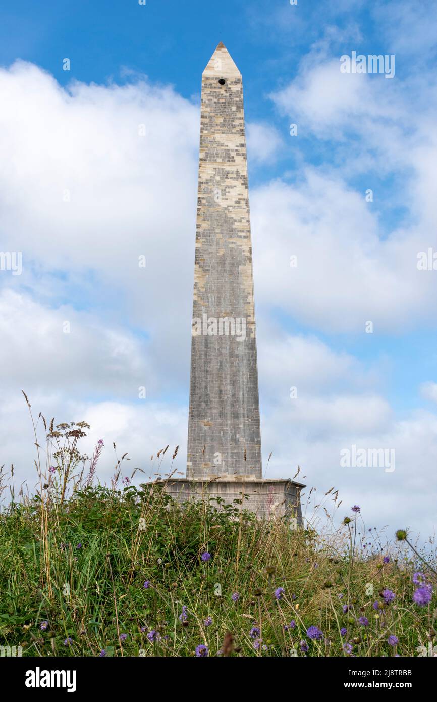 Wellington Monument, Somerset UK Stock Photo - Alamy