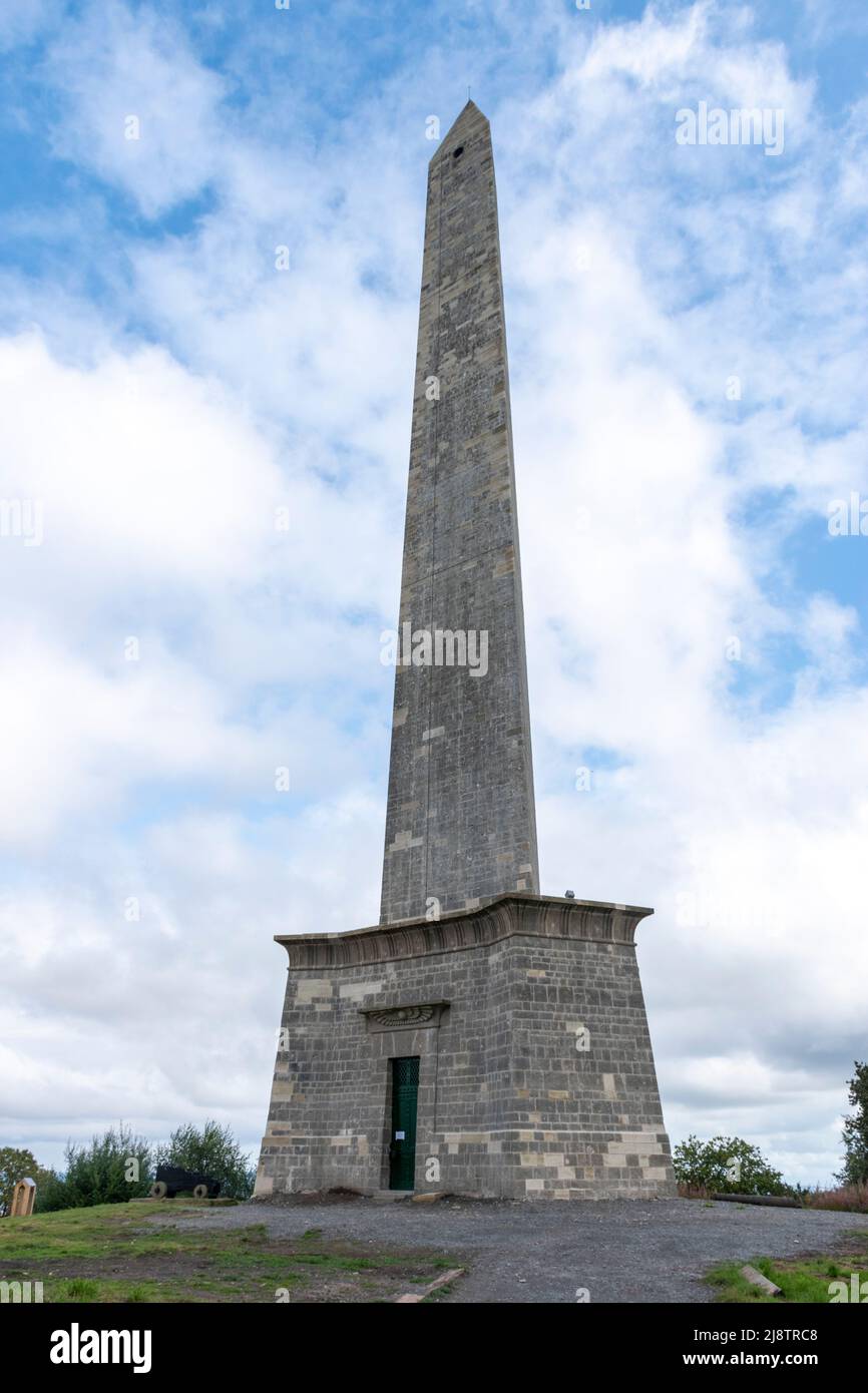 Wellington Monument, Somerset UK Stock Photo - Alamy