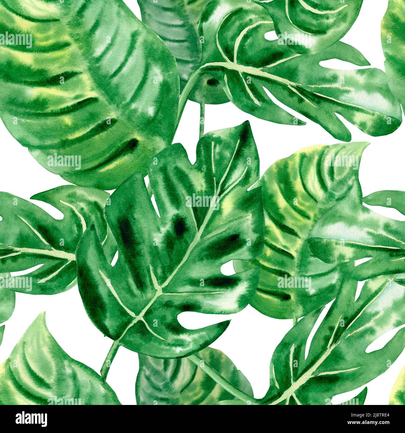 Watercolor hand drawn monstera leaves seamless pattern. Tropical ...