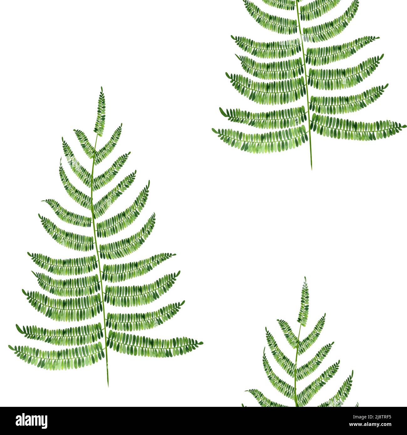 Fern branch seamless watercolor pattern. Hand drawn botanical ...