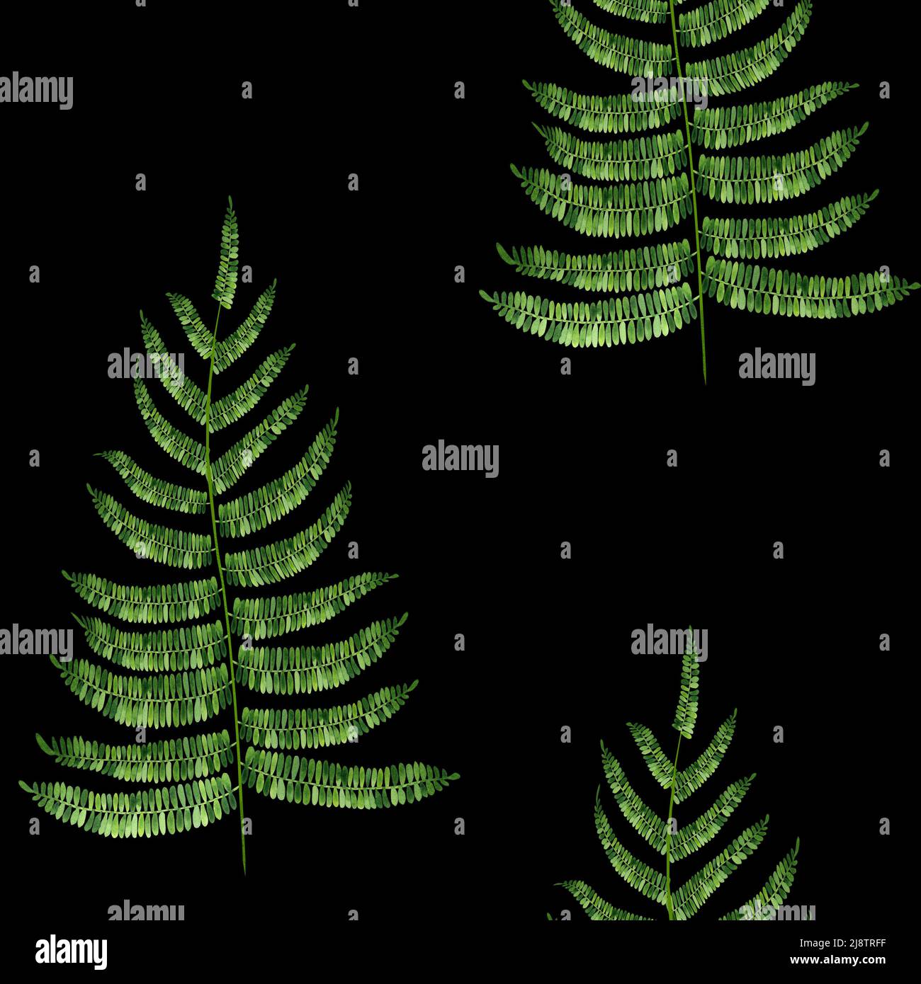 Fern branch seamless watercolor pattern. Hand drawn botanical ...