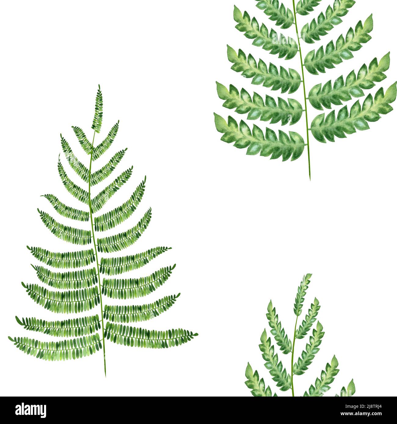 Fern branch seamless watercolor pattern. Hand drawn botanical ...