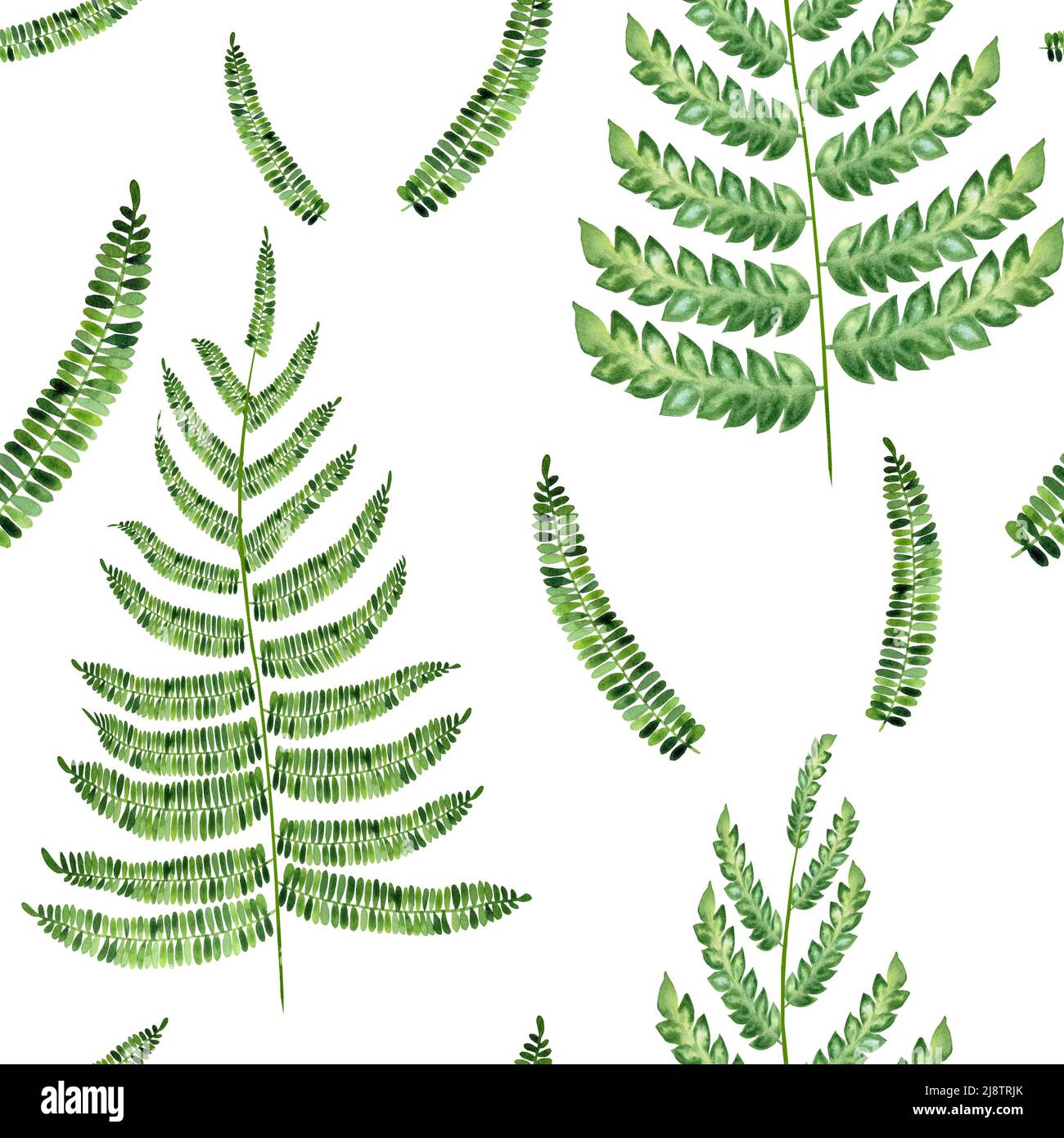 Fern branch seamless watercolor pattern. Hand drawn botanical ...