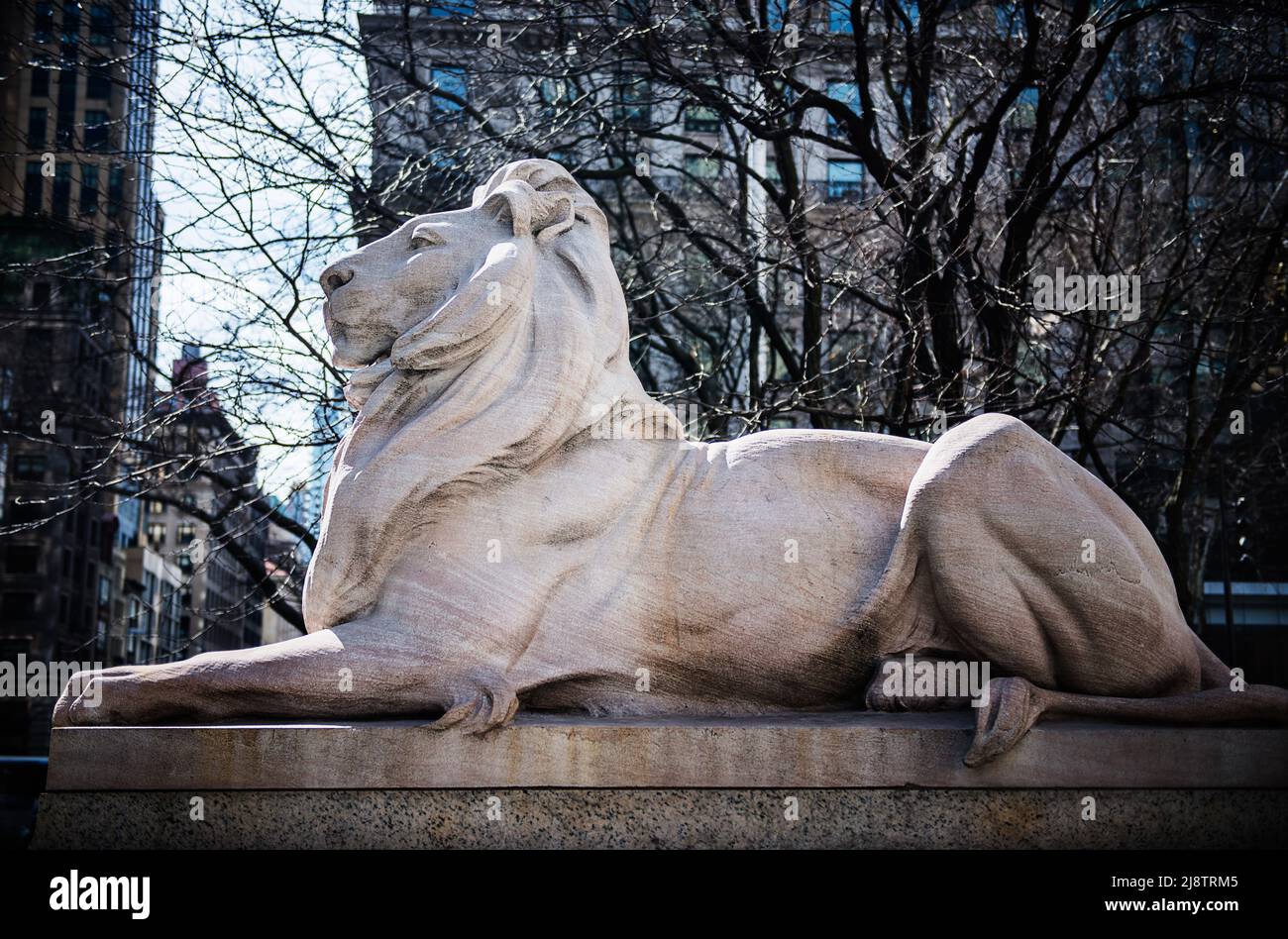 New york public library lion hi-res stock photography and images - Alamy