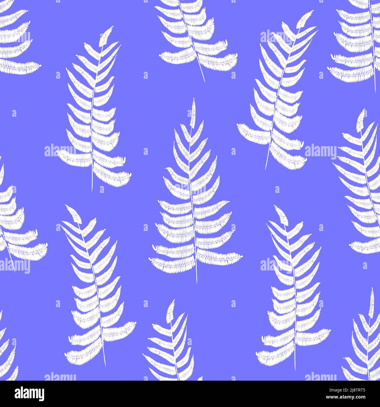 Trendy Patterns 2022