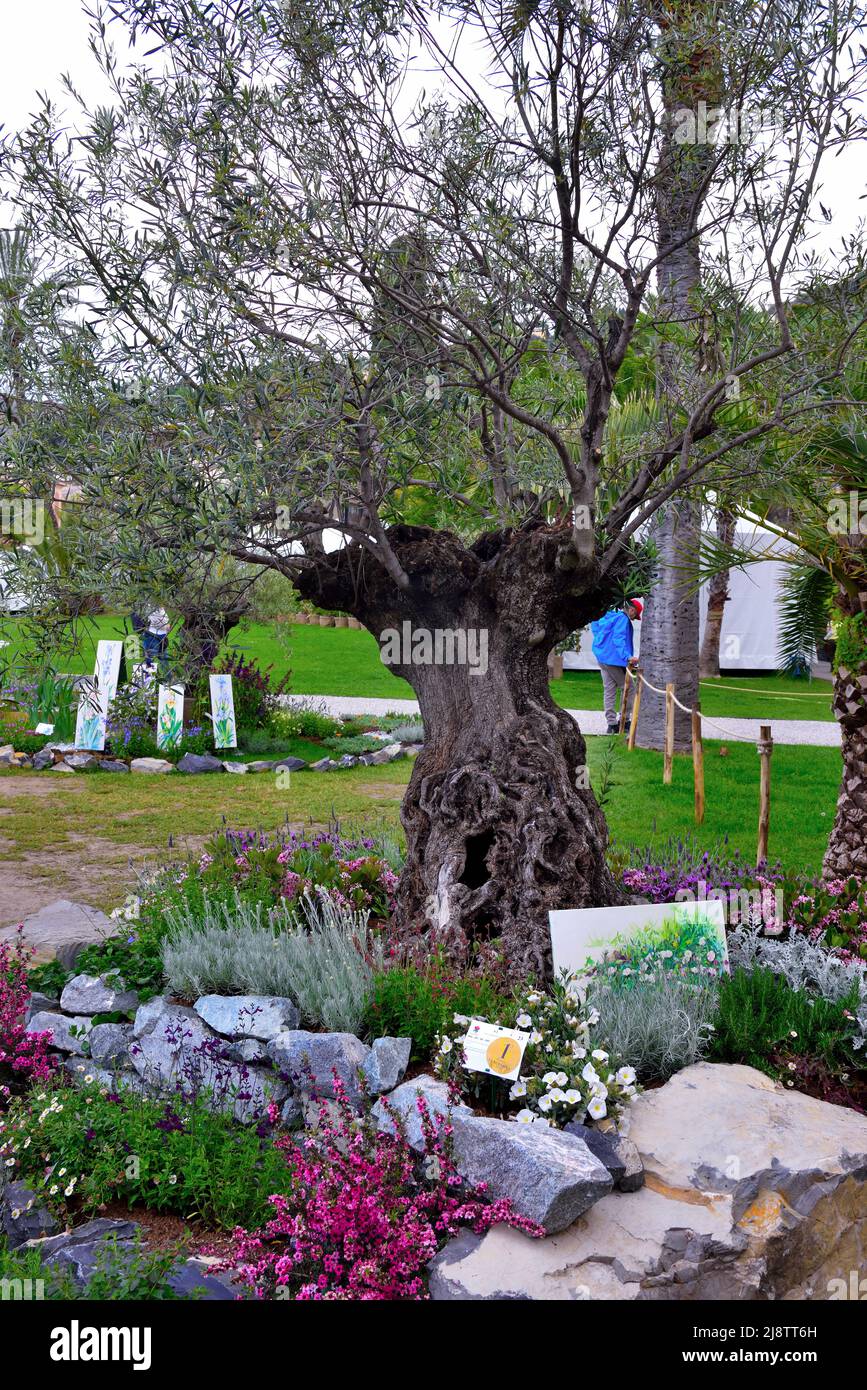 Plant exhibitions hi-res stock photography and images - Alamy