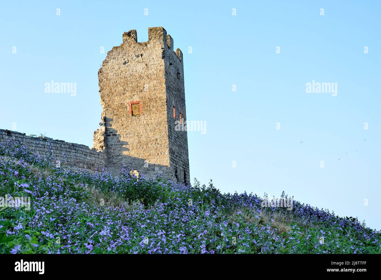 Old fortress Caffa in Feodosia, Crimea, Russia Stock Photo - Alamy