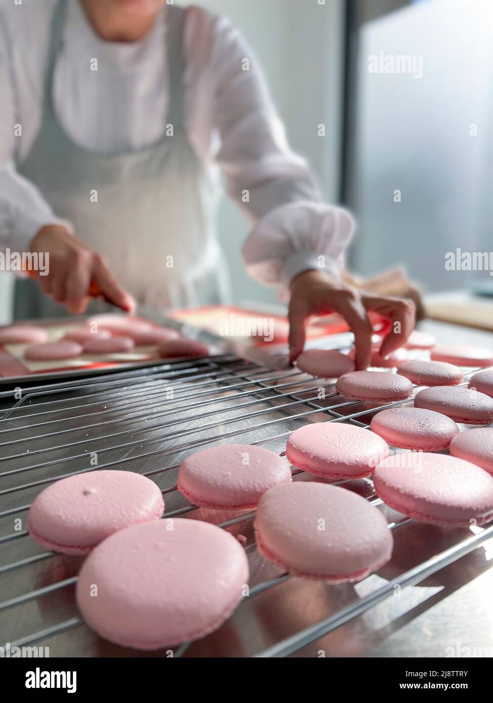 Woman professional pastry chef preparing hi-res stock photography and ...