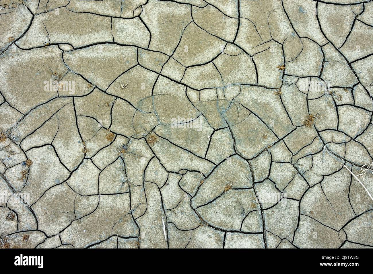 Dry earth as a background Stock Photo - Alamy