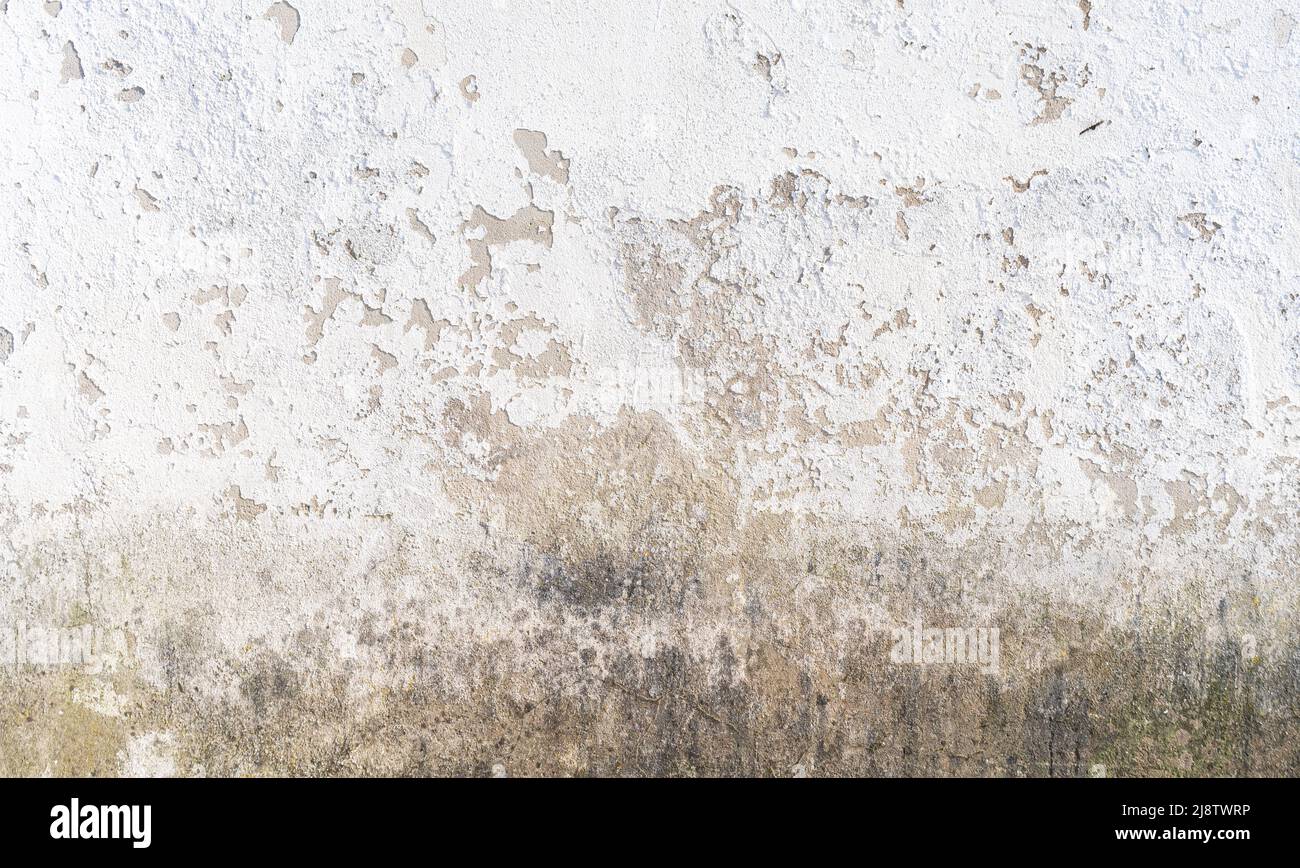Old wall texture white background Stock Photo - Alamy