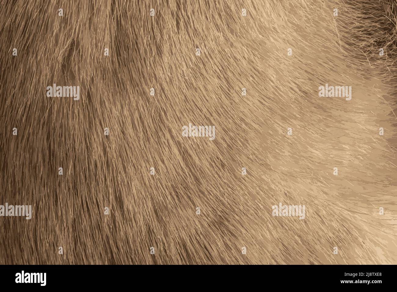 Realistic illustration of mink fur texture in light, gray color close ...