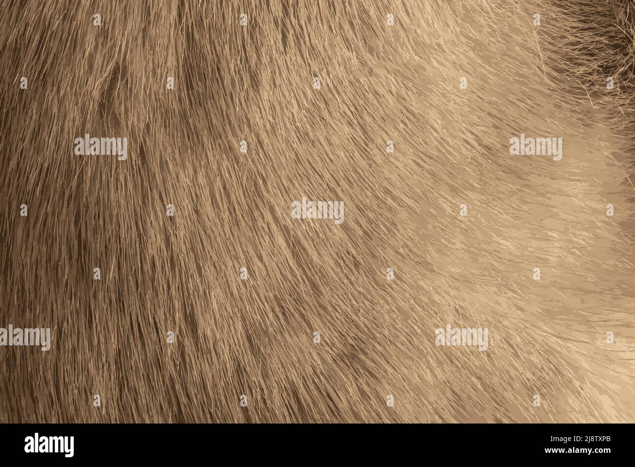 Furry rug Stock Vector Images - Alamy