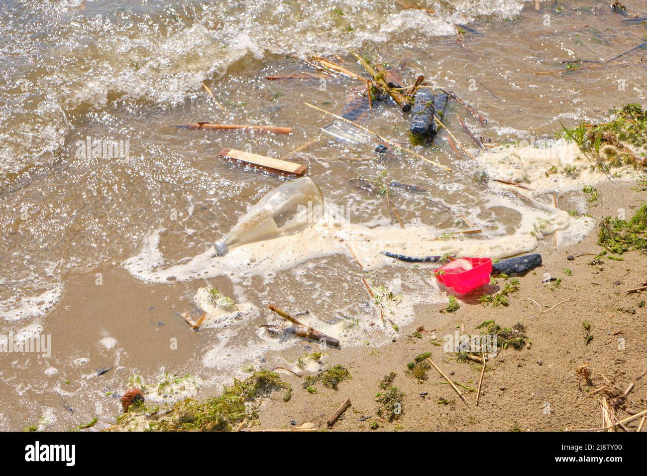 Garbage thrown out by waves beach, pollution of environment of human ...