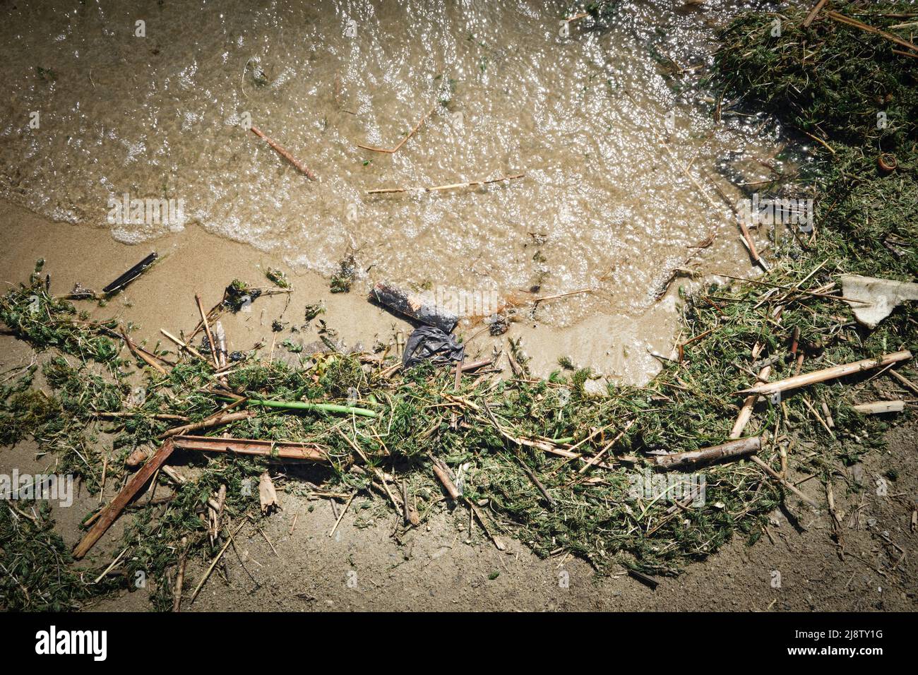 Discarded garbage and algae sandy beach shore after storm Stock Photo ...