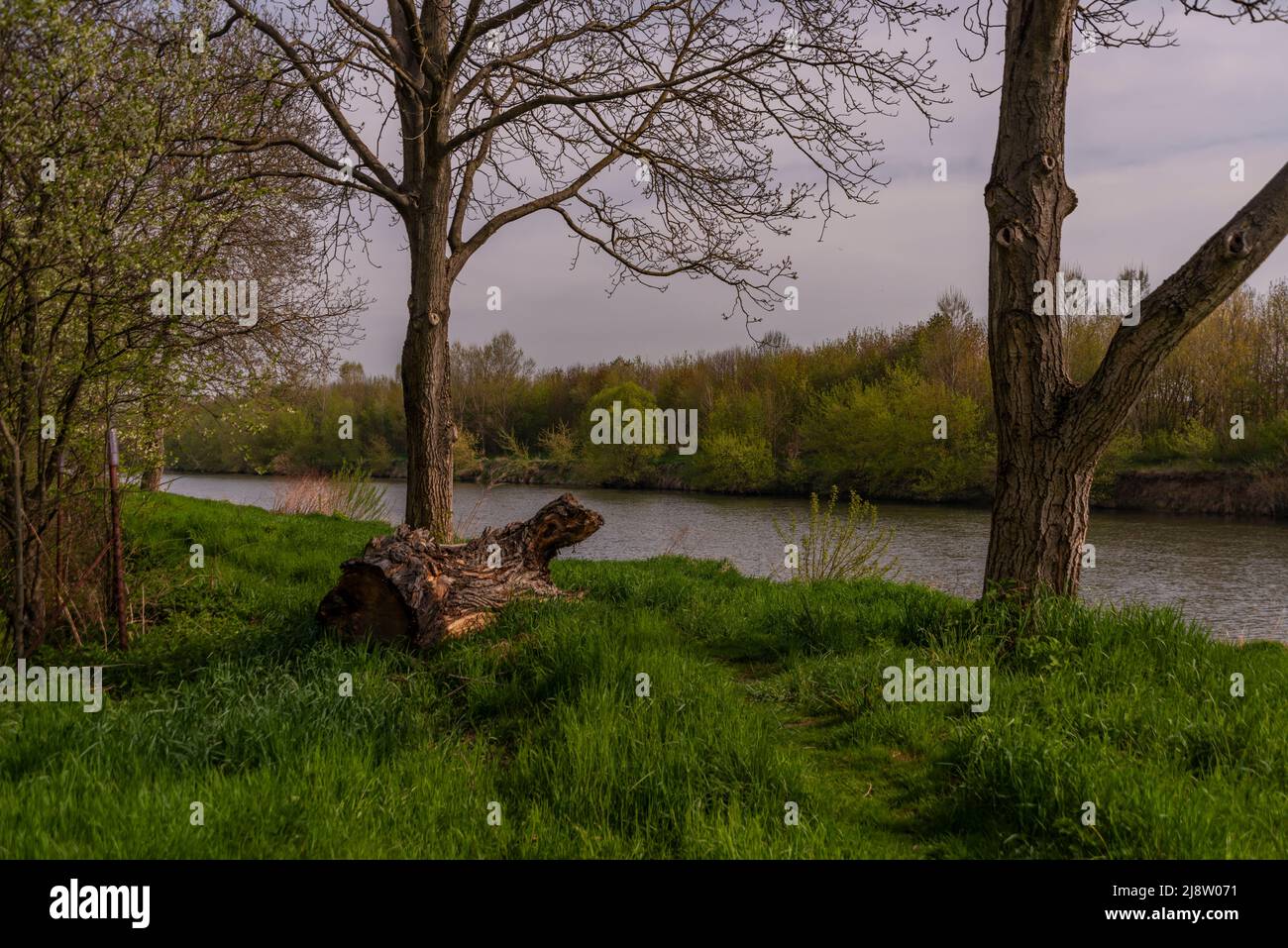 Spring of morava river hi-res stock photography and images - Alamy