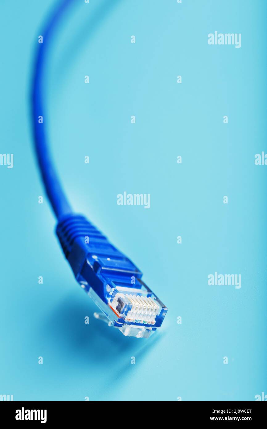 Blue Ethernet Cable Connectors Patch cord cord close-up isolated on a blue background with free ...