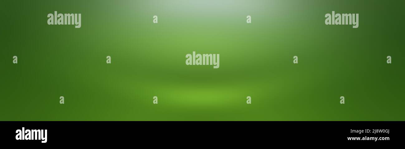 Luxury plain Green gradient abstract studio background empty room with ...
