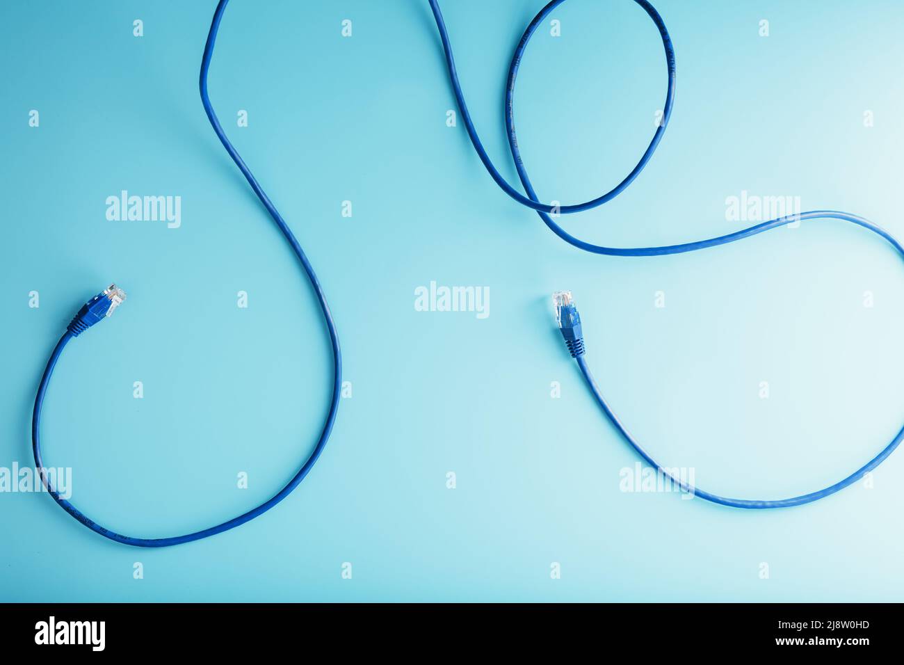 Blue Ethernet Cable Connectors Patch cord cord close-up isolated on a blue background with free ...