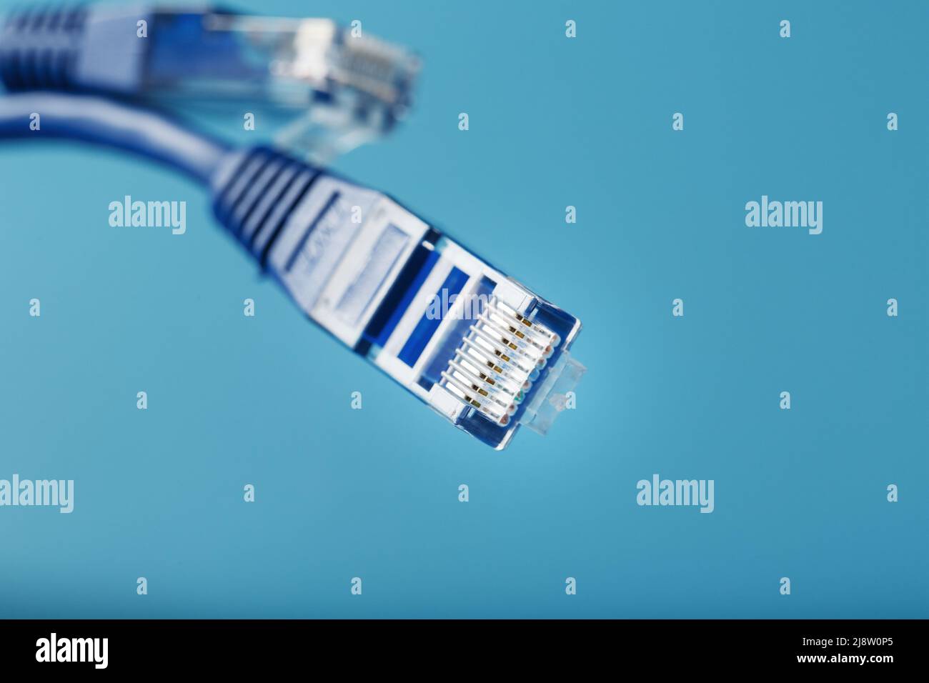 Blue Ethernet Cable Connectors Patch cord cord close-up isolated on a blue background with free ...