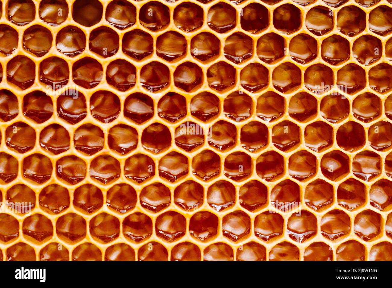 natural honey comb background or texture Stock Photo - Alamy