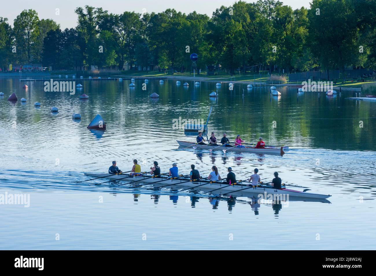 Rowing boat on river alte donau old danube hi-res stock photography and ...