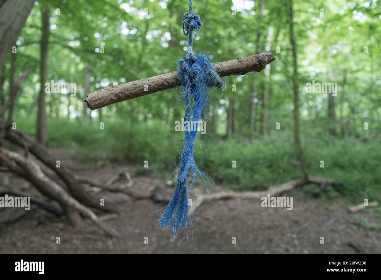 Scary old creepy trees hi-res stock photography and images - Alamy