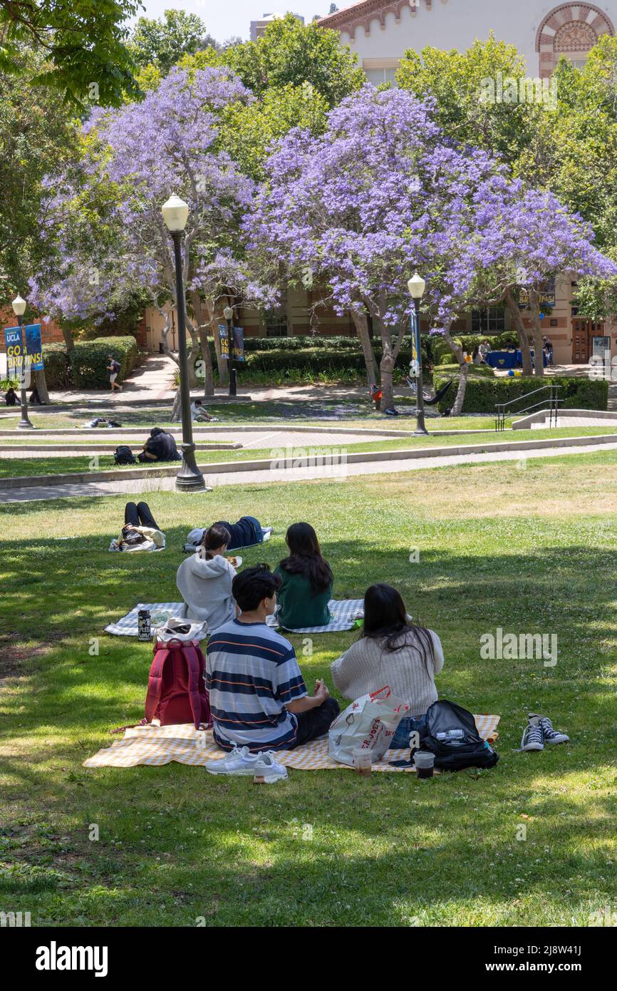Ucla Students Studying