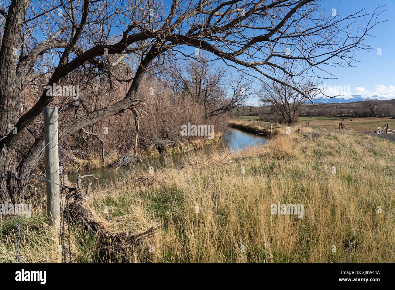 Canal water from melting snow in Absaroka mountains is used for ...