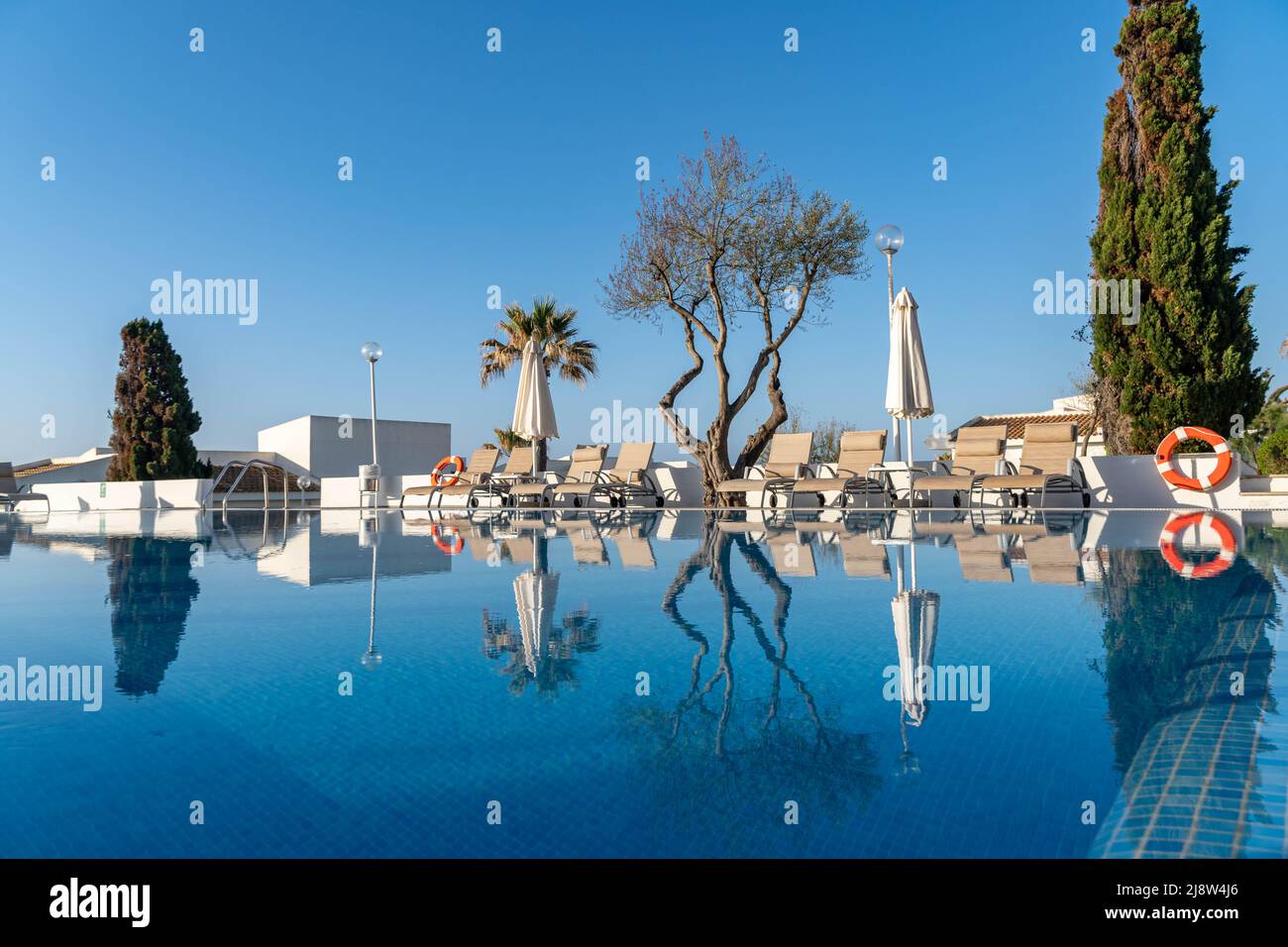 view over the swimming pool, same trees and beach chairs at the pool ...