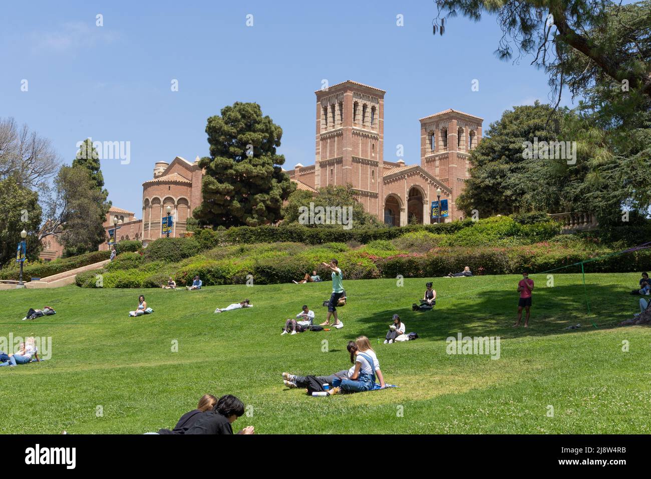 UCLA students studying on a beautiful day with a student walking a ...