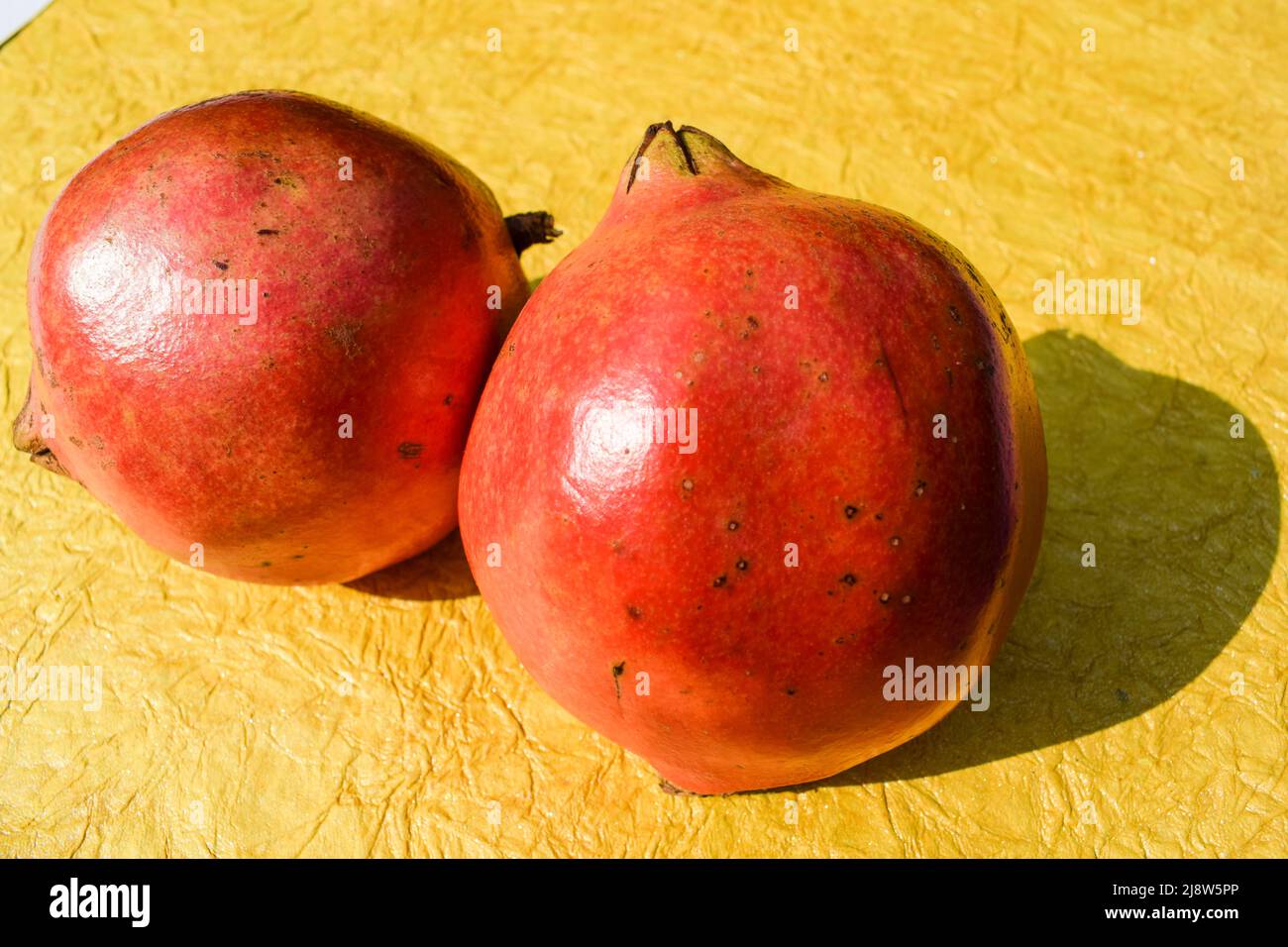 Pomegranate fruit on yellow background. Light red color glossy fresh ...